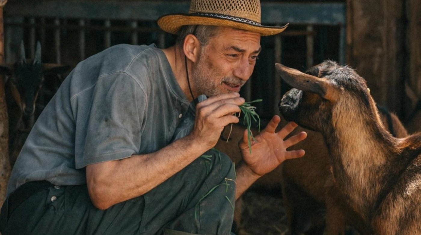 I delitti del BarLume 12, la recensione - Movieplayer.it