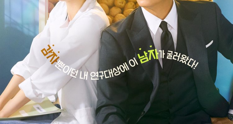 The Potato Lab (Serie TV 2025): trama e dove vederla - Movieplayer.it