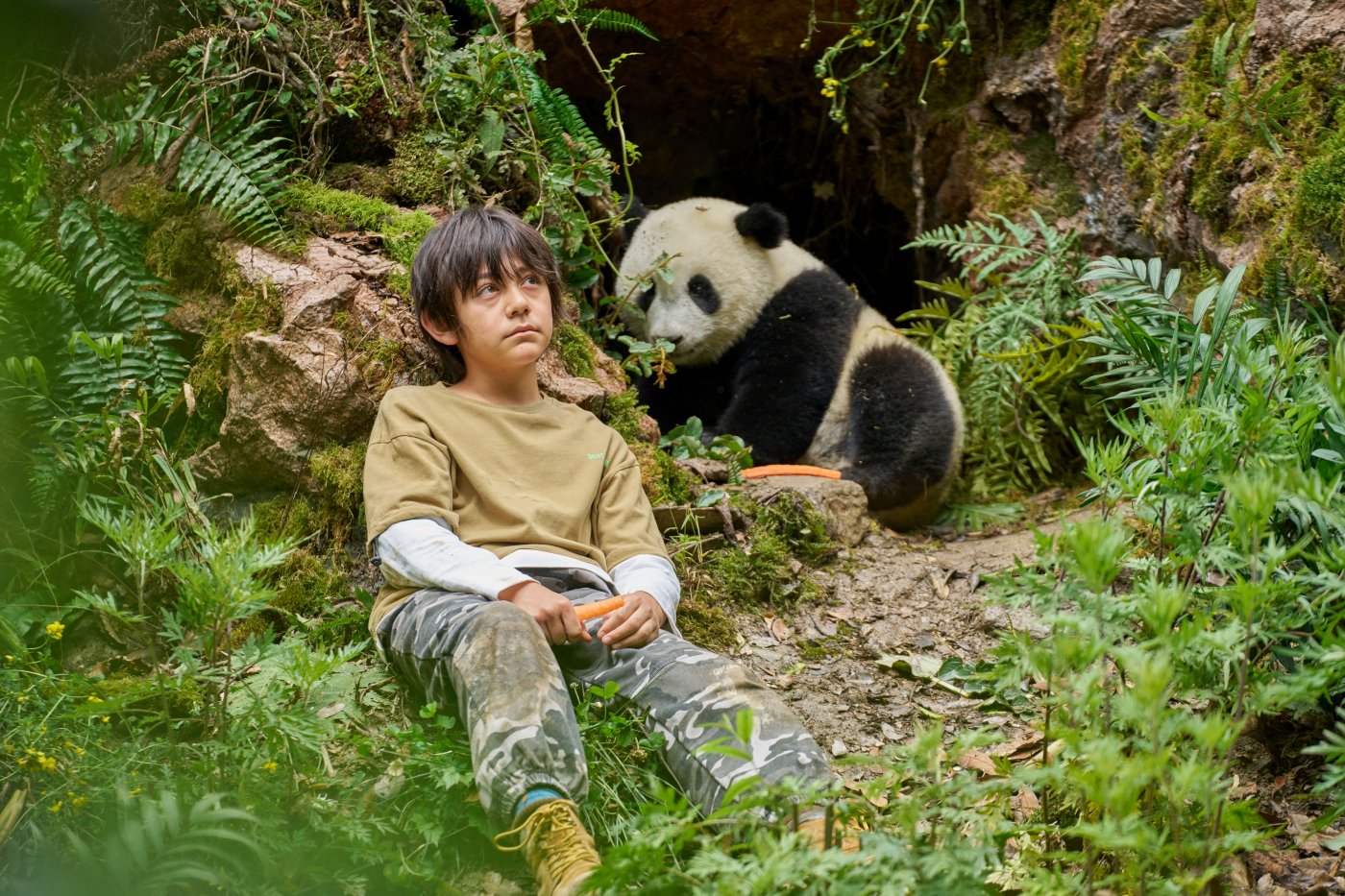 Moon il Panda, recensione del film di Gilles de Maistre