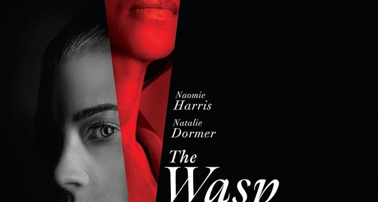 The Wasp (Film 2024): trama, cast e info - Movieplayer.it