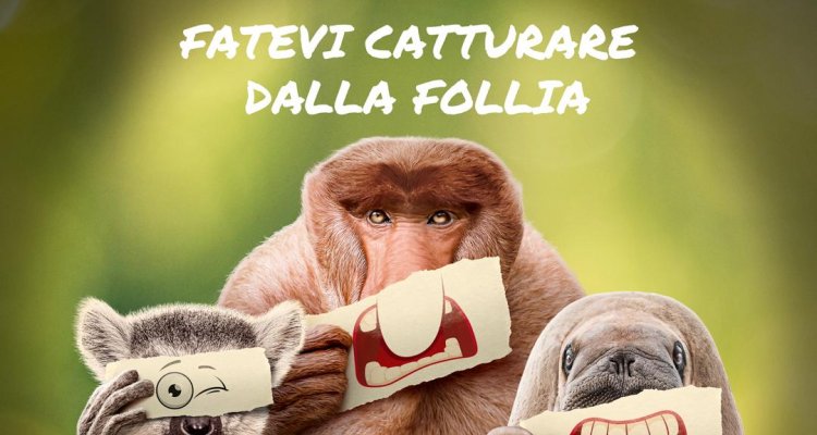 Underdogs (Serie TV 2025): trama, cast e info - Movieplayer.it