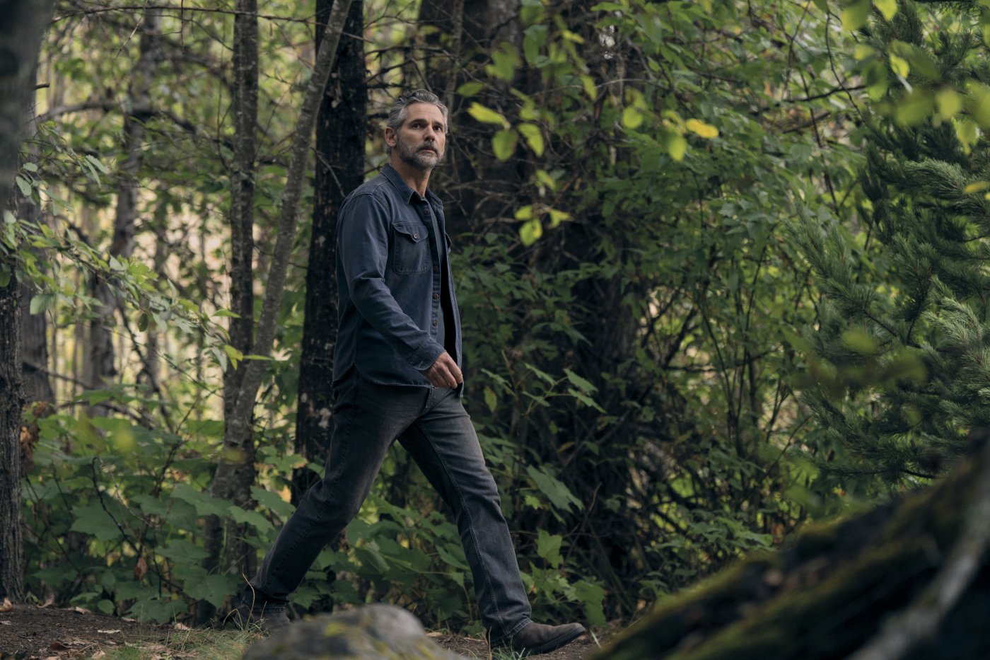 Untamed, la recensione della miniserie Netflix con Eric Bana - Movieplayer.it