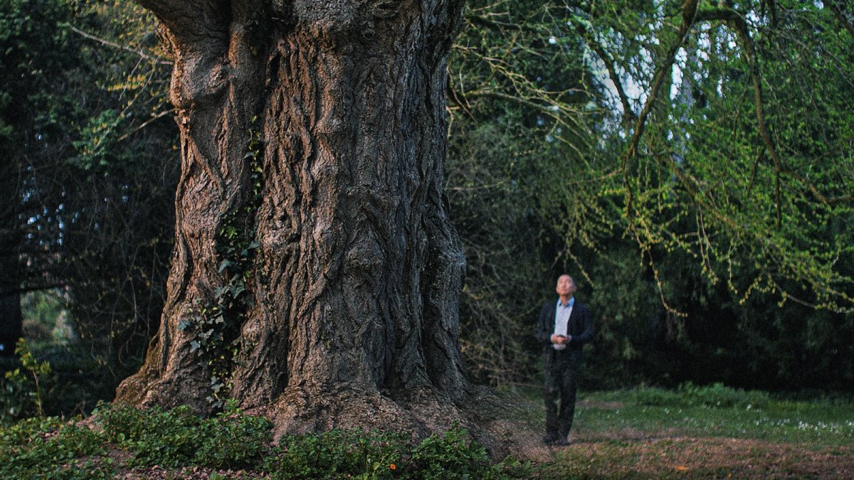 Silent Friend, recensione del film di Ildikó Enyedi - Movieplayer.it