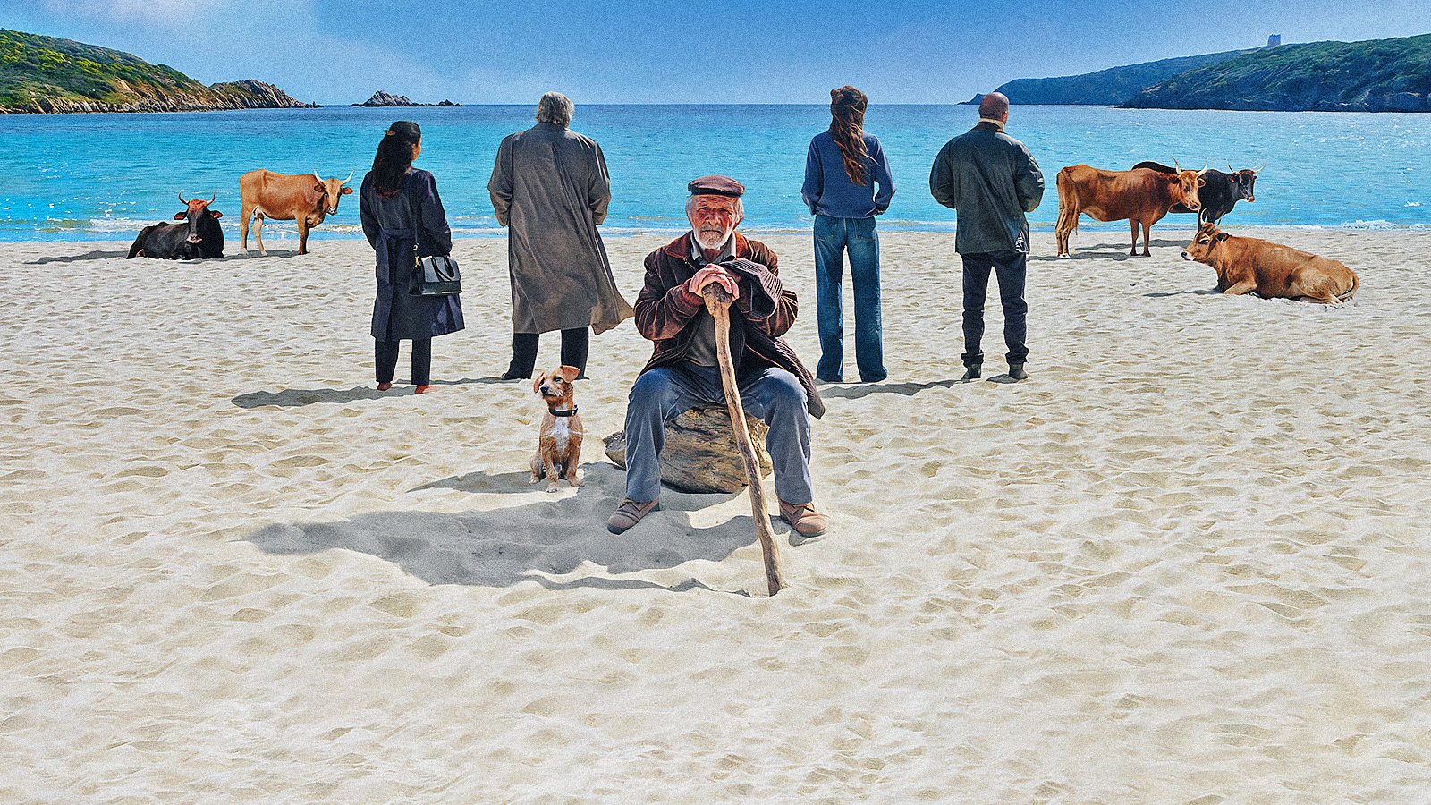 La vita va così, recensione del film di Riccardo Milani con Virginia ...